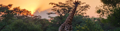 Home - Sambane Bush Lodge